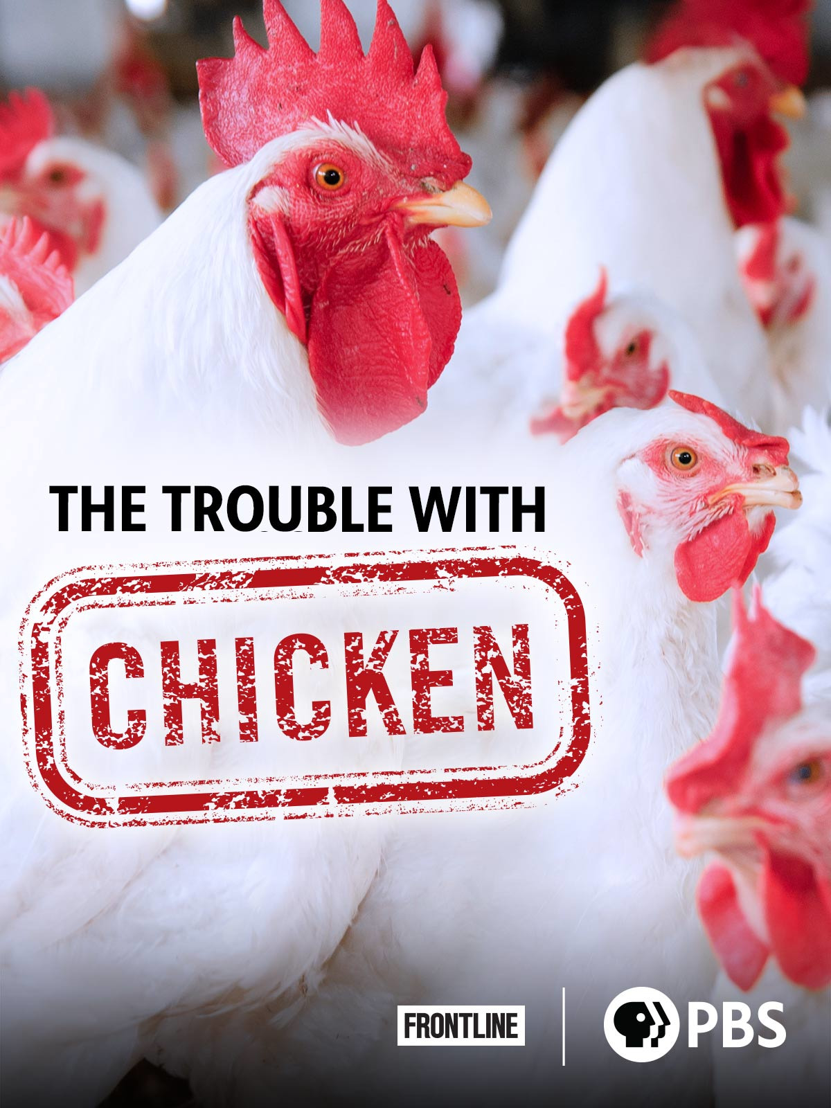 The Trouble with Chicken - Buy, watch, or rent from the Microsoft Store