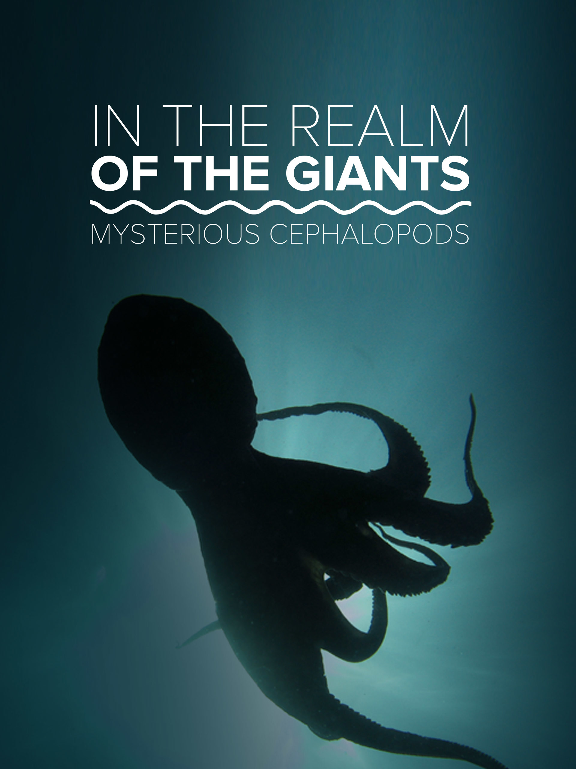 In the Realm of the Giants-Mysterious Cephalopods - Buy, watch, or rent ...