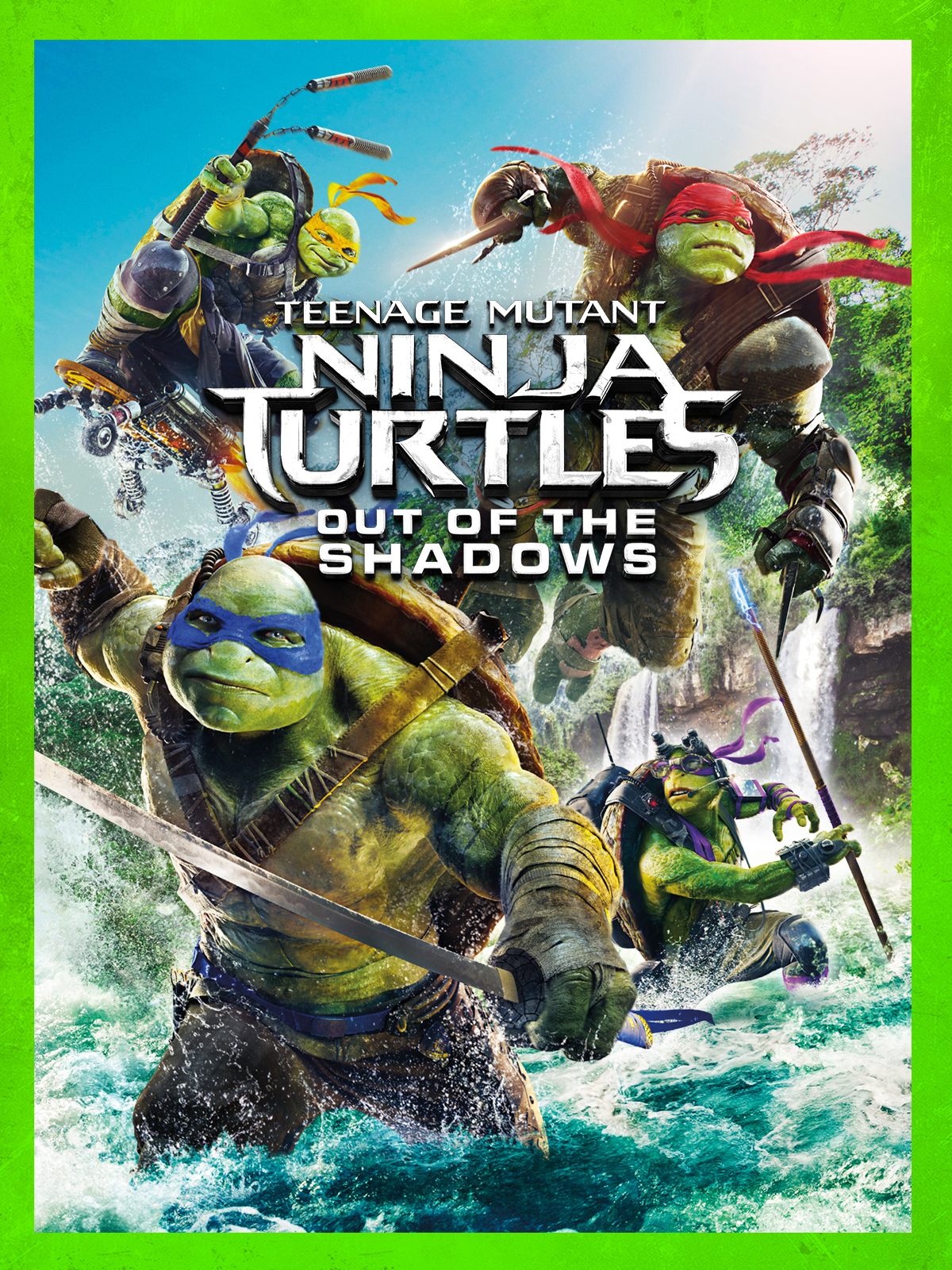 Teenage Mutant Ninja Turtles Shadow