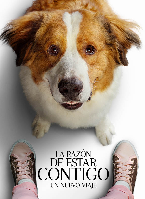 Estar Contigo La Razón De Estar Contigo (2017) IMDb