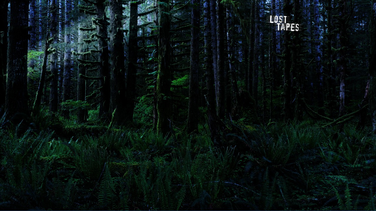 Dover Demon Lost Tapes