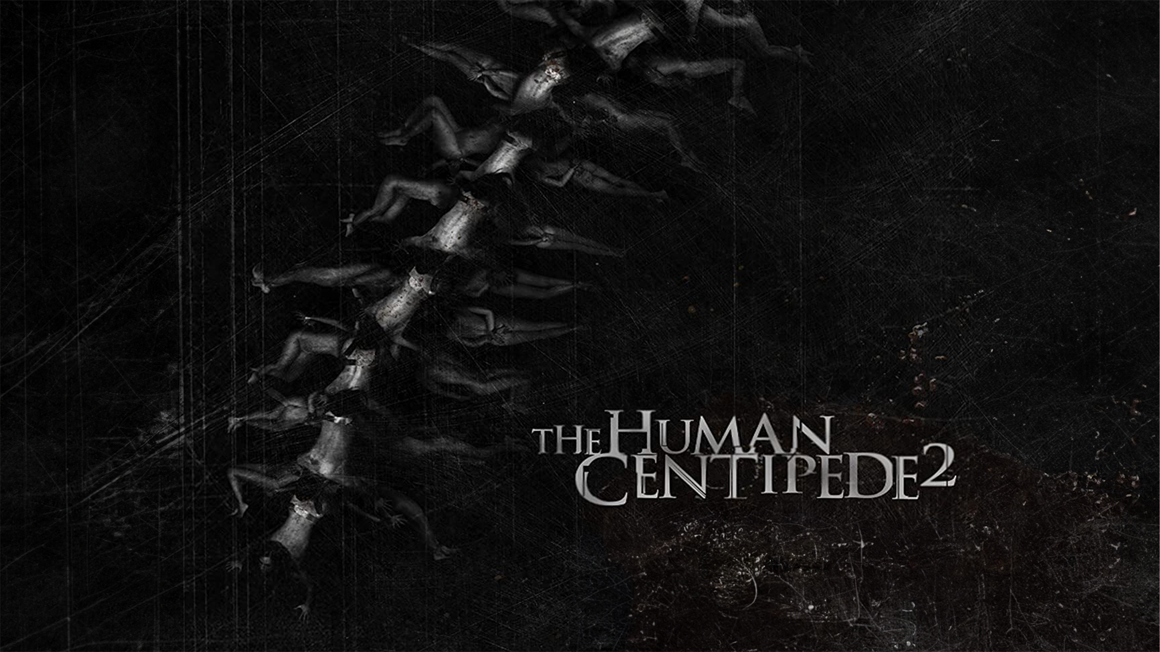 Human Centipede Movie THE HUMAN CENTIPEDE 2: FULL SEQUENCE (2011)