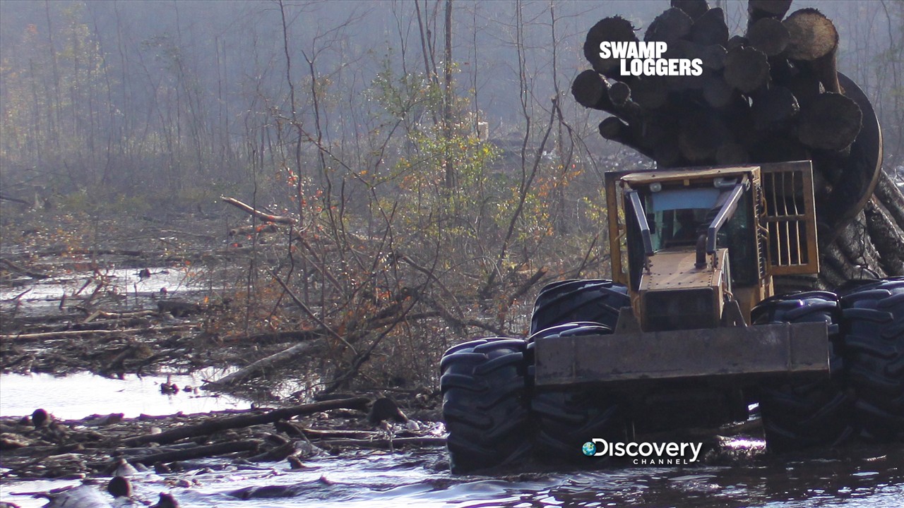 Swamp Loggers