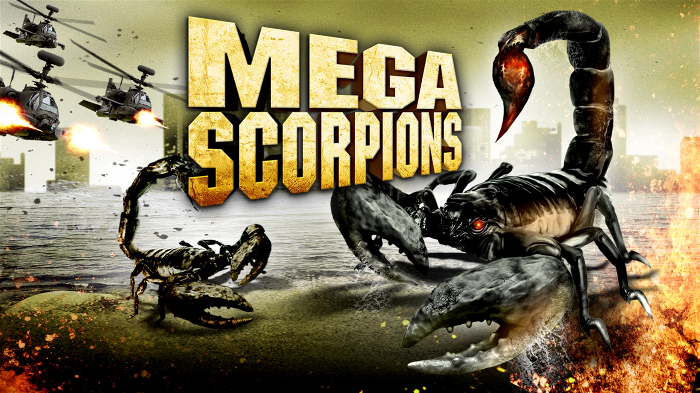 Programa De Televisión Escorpión Scorpion Ver La Serie Online