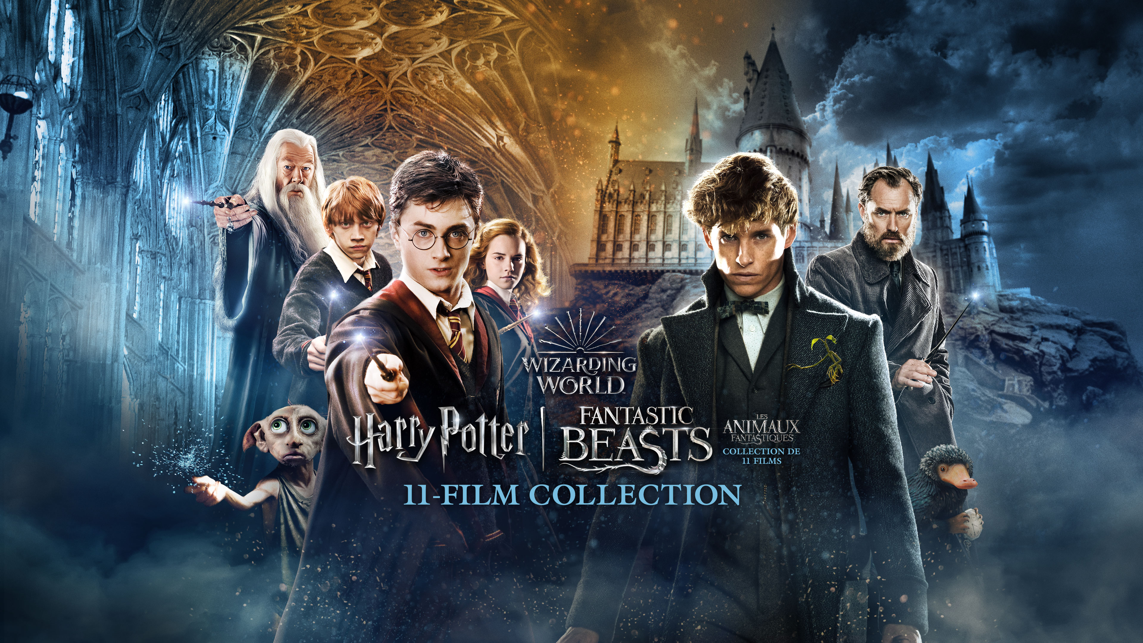 Wizarding World 11-Film Collection