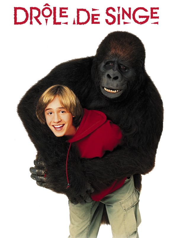 Les Photos De Singes Les Plus Drôles