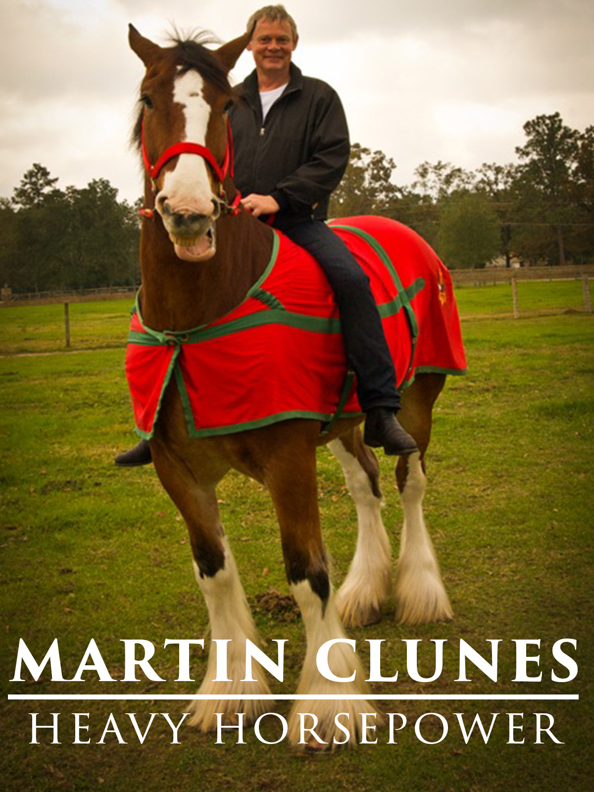 Martin Clunes Clydesdales