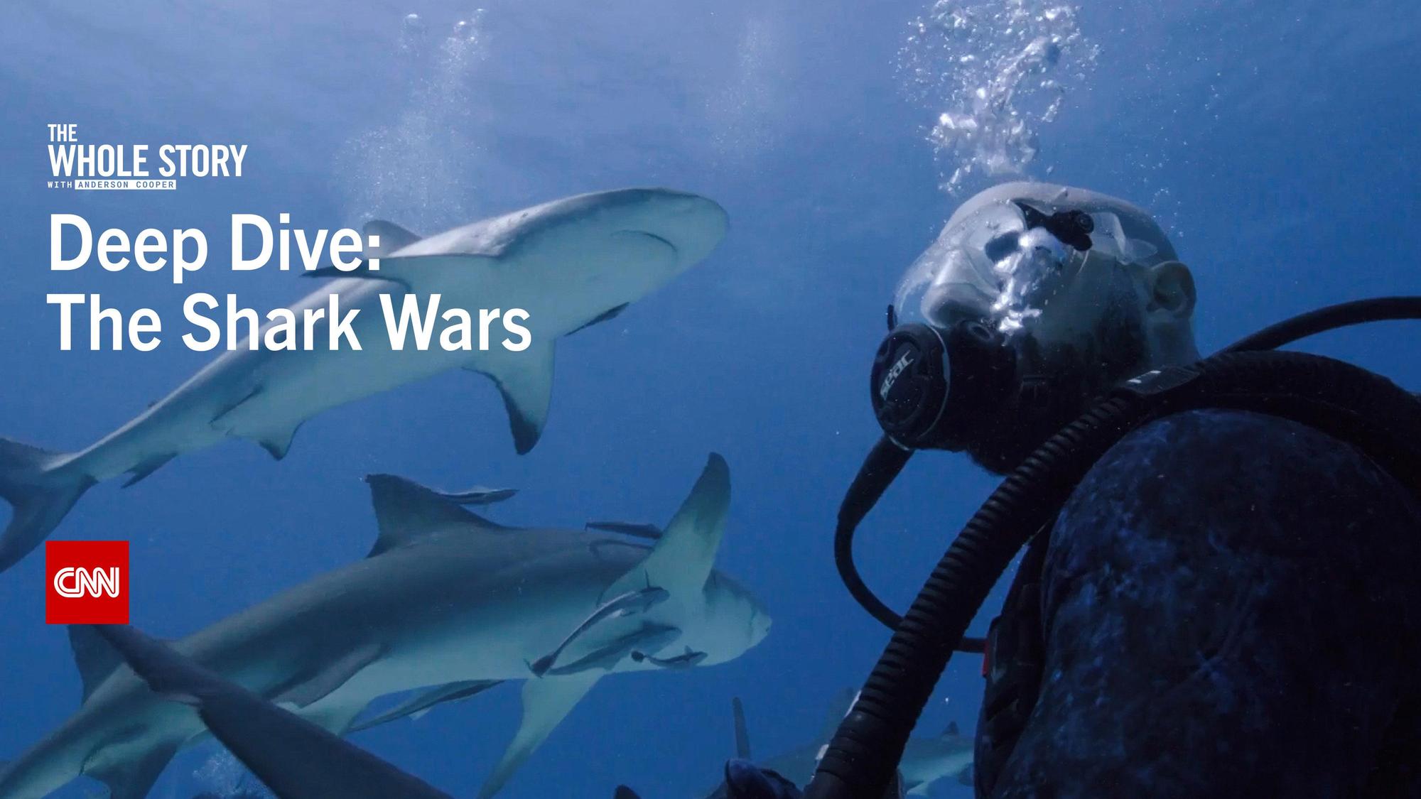 Deep Dive: The Shark Wars